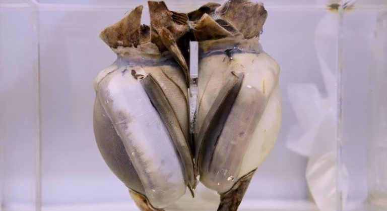 12 Wild Inventions From the ’60s That Were Way Ahead Of Their Time ...