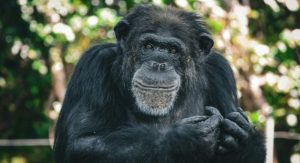7 Disturbing Scientific Experiments Conducted on Humans That Crossed ...