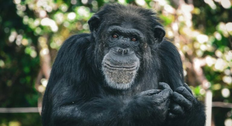 7 Disturbing Scientific Experiments Conducted on Humans That Crossed ...