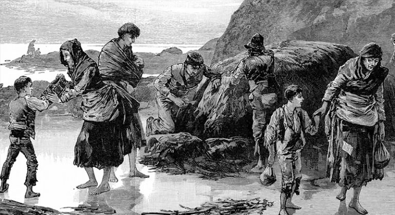 13 Brutal Years in History That Were Almost Impossible to Survive - Big ...