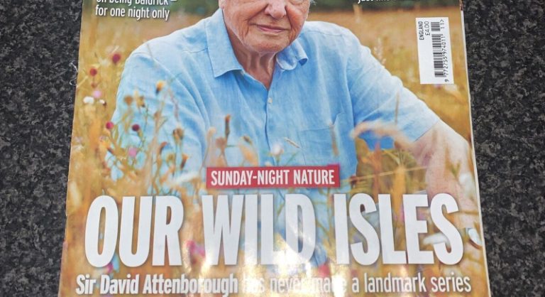 How David Attenborough Changed the Way We See the Natural World - Big ...